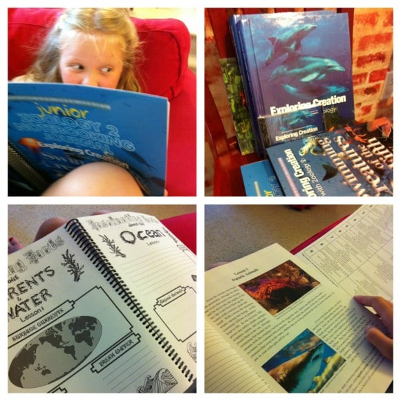 Review: Apologia Swimming Creatures of the Fifth Day - The Curriculum ...