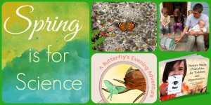 Springtime Science: Butterflies - The Curriculum Choice