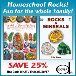 Have a Homeschool That Rocks with These Fun Rocks & Minerals Resources